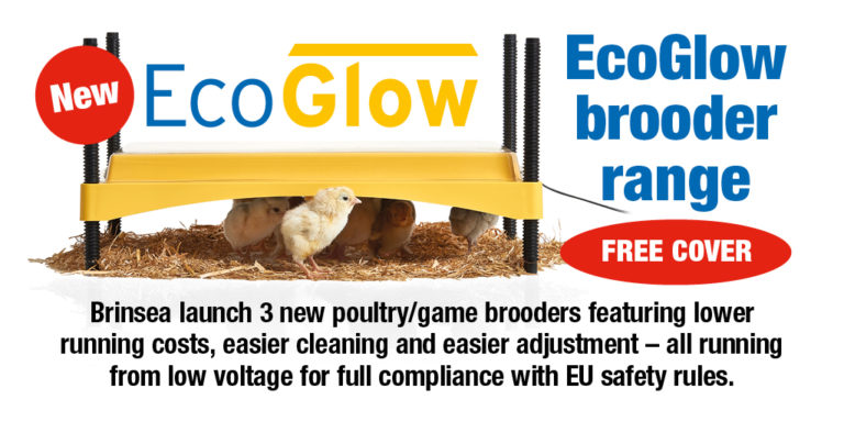 Brinsea's NEW Range of EcoGlow Safety Chick Brooders - Brinsea