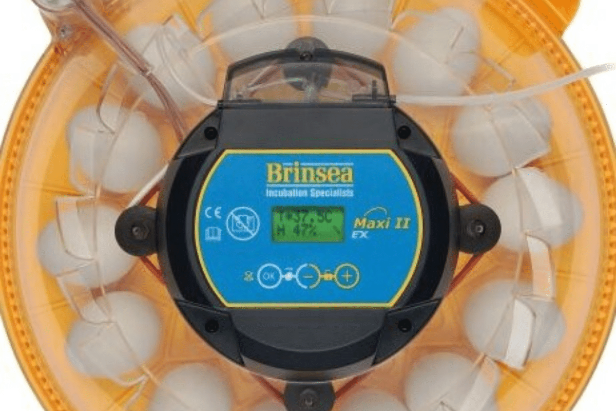 Incubator Temperature Ranges - Brinsea