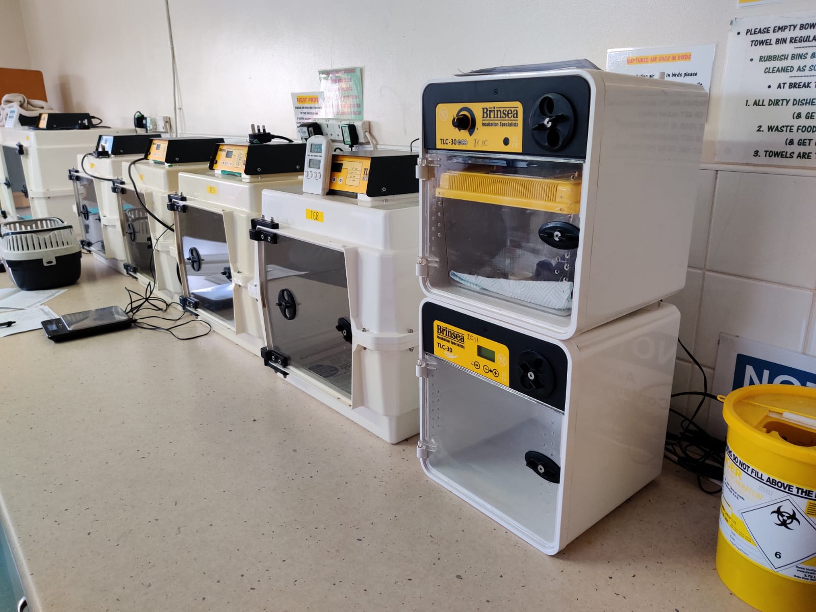 Vale Wildlife Hospital use Brinsea's TLC Incubators - Brinsea