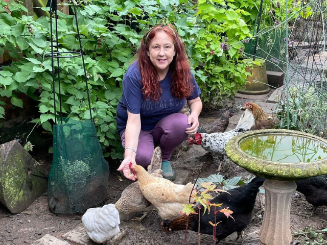 From Hen-Thusiast to Tech-Savvy Hatcher! - Brinsea