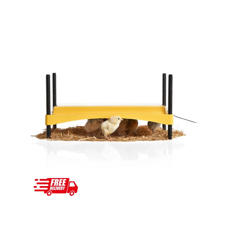 EcoGlow Safety 1200 Chick Brooder for up to 35 chicks