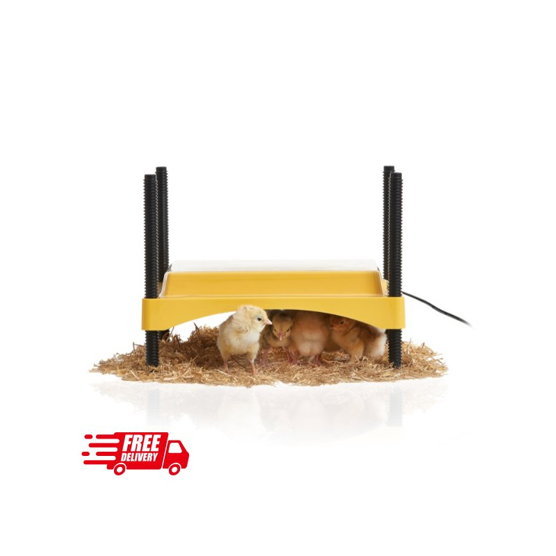 EcoGlow Safety 600 Chick Brooder for up to 20 chicks