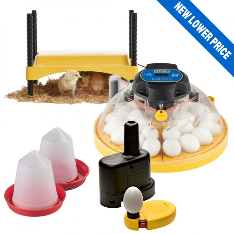 Maxi 24 Advance Starter Pack - everything you need to start hatching 24 ...